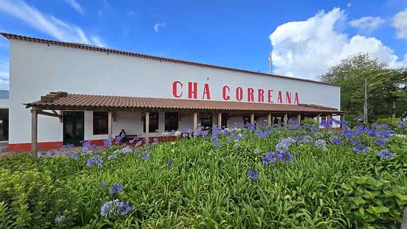 AZORSKA OSTRVA + LISABON (1. maj 2026) - Energija